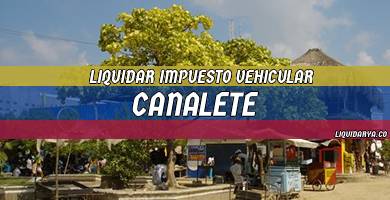 ᐈ Liquidar Impuesto Vehicular en Canalete 《 2025 》 ️